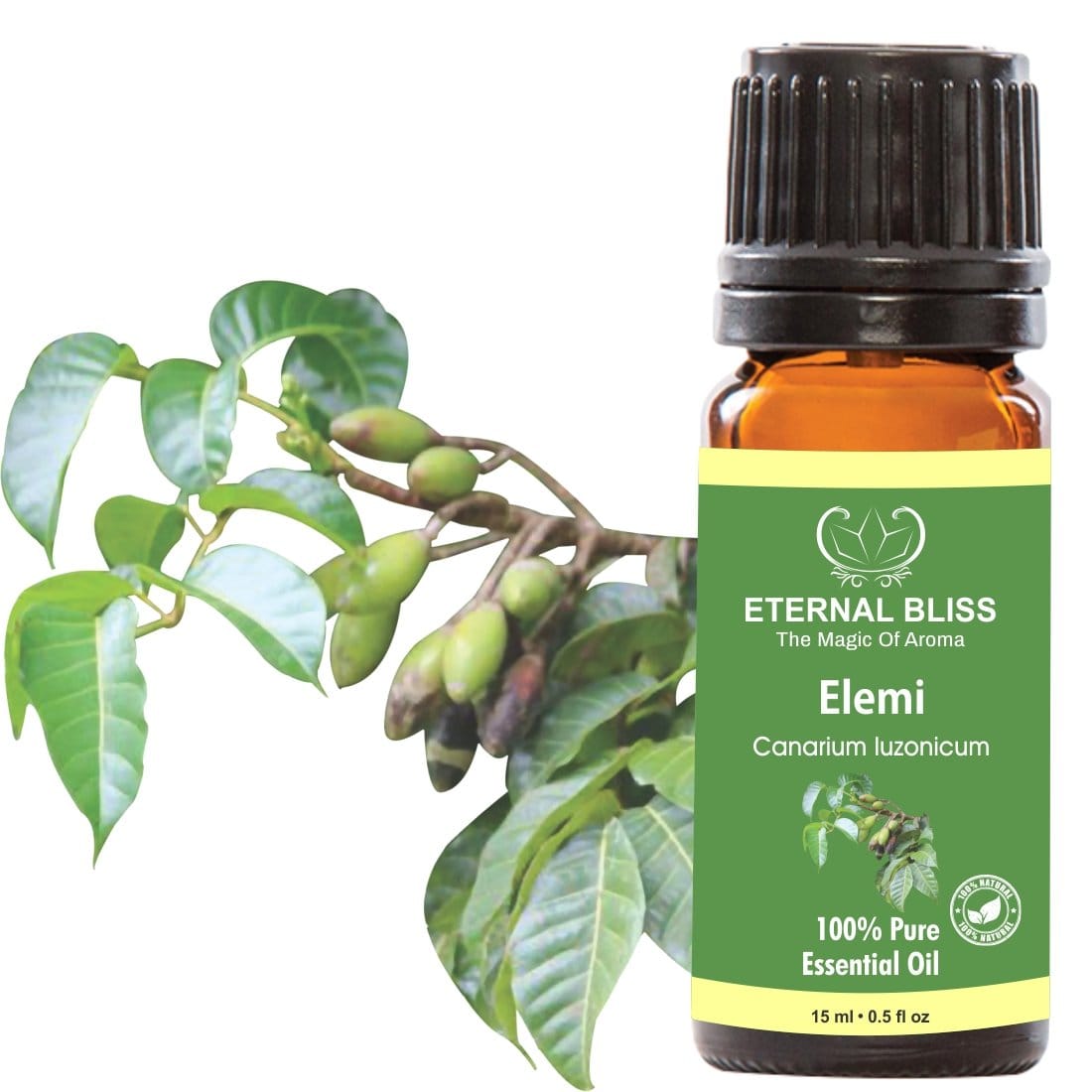 Elemi Yağı Ne İşe Yarar? Doğal Şifanın Güçlü Kaynağı - Sosyola